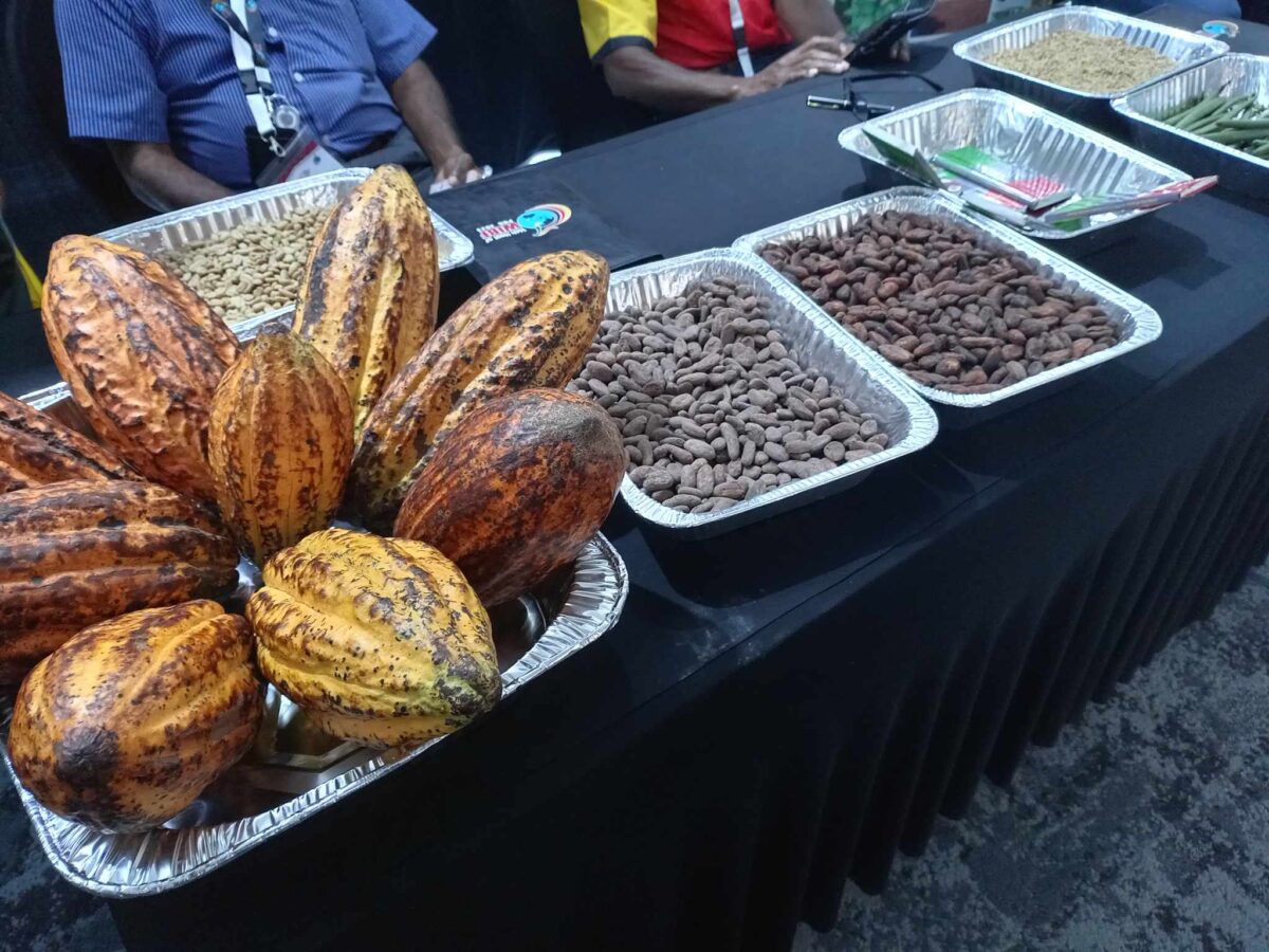 PNG COCOA BOARD PLANS FOR INDIGENOUS COCOA FARMERS : PNG Haus Bung